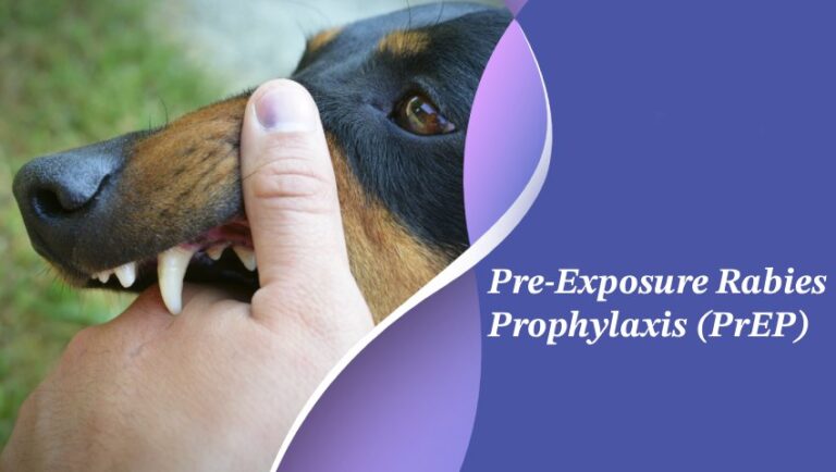 Pre-Exposure Rabies Prophylaxis – Essential Protection in Hinjewadi ...